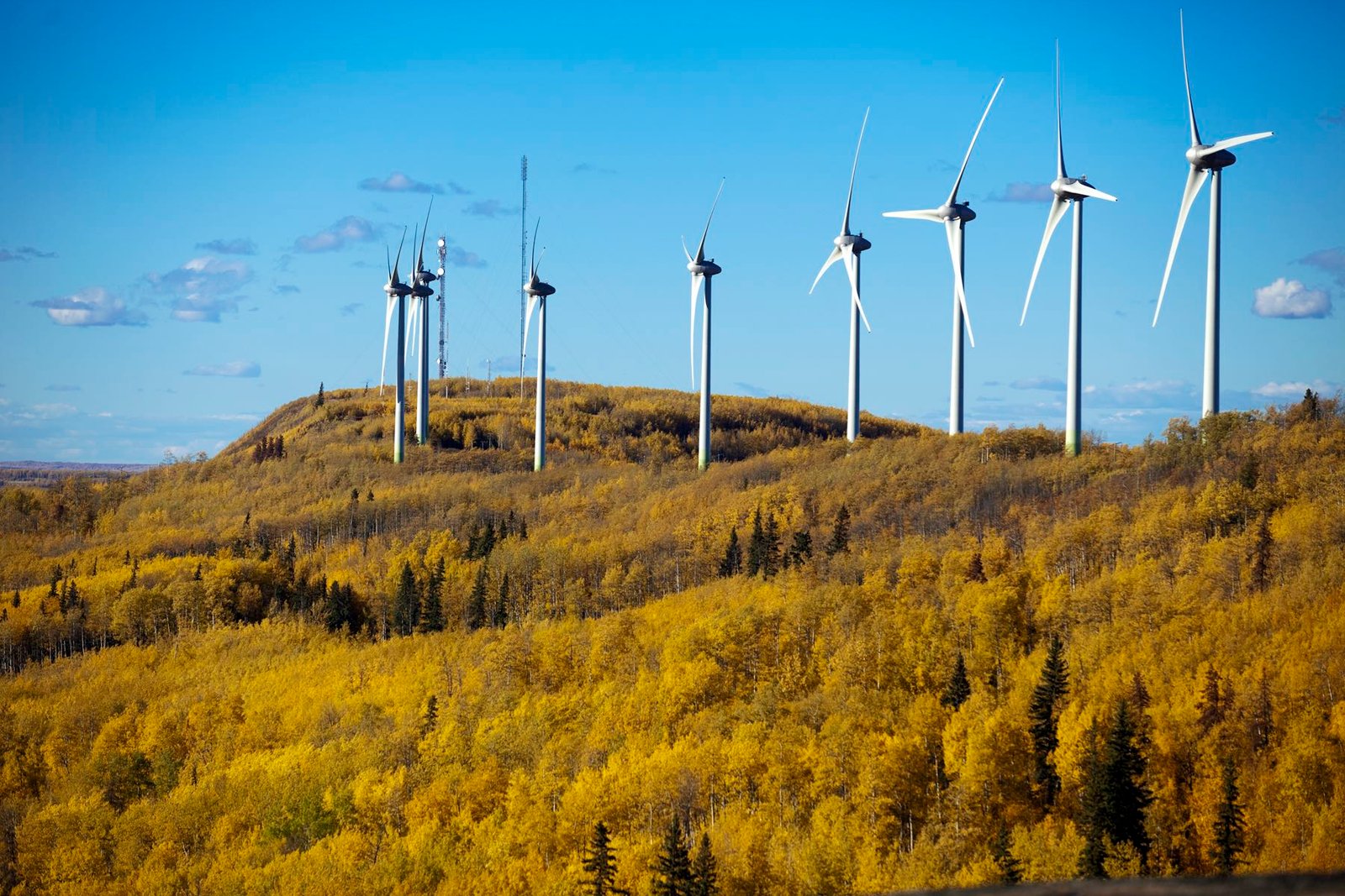 08. Awesome Dawson Creek: A northern oil and gas town bets big on ...