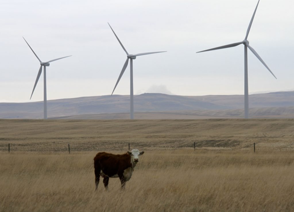 05. Meet Dan Balaban - Alberta's wind energy cowboy - Green Energy Futures