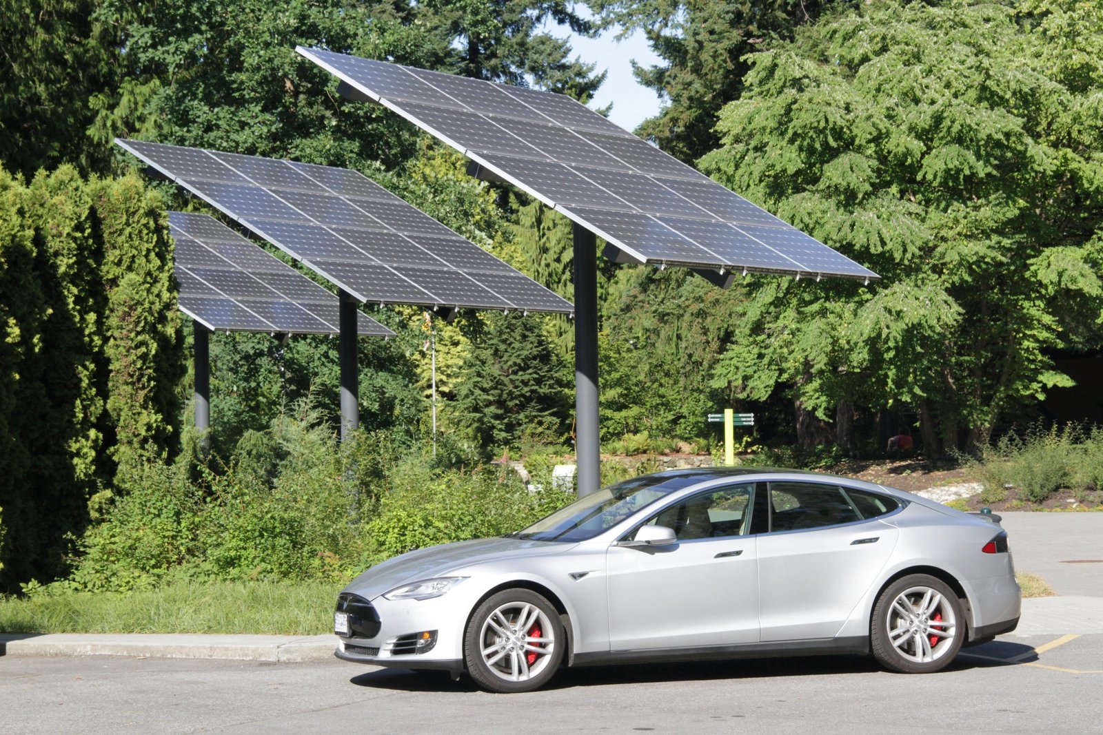 A-Tesla-Model-S-under-the-tree - Green Energy Futures