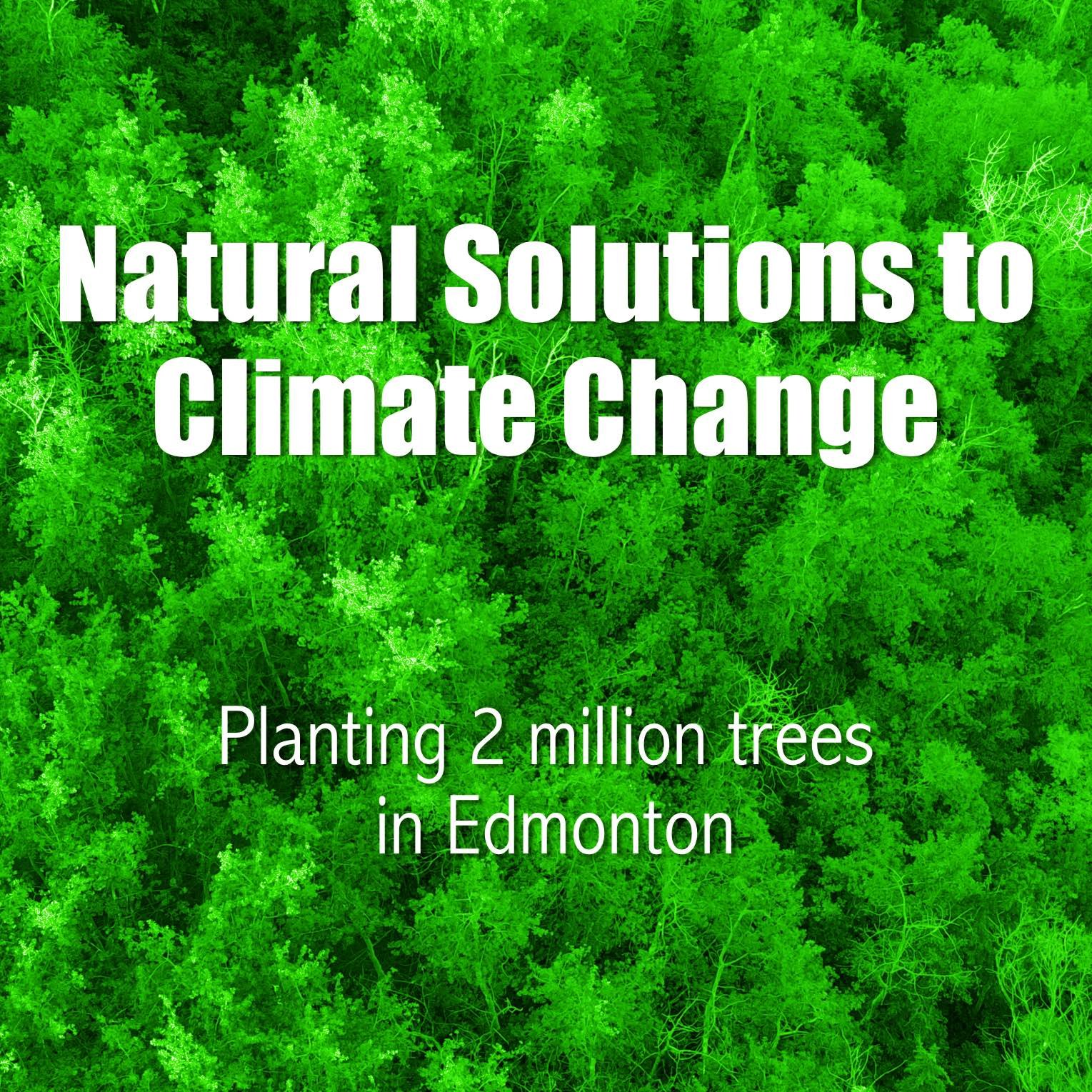 358. Planting 2 million trees - Natural solutions to climate change ...