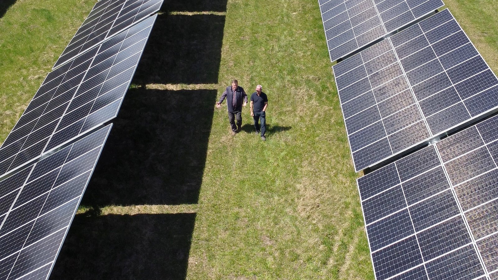 382. Agrivoltaics - Keep the farm in the solar farm and save the family ...