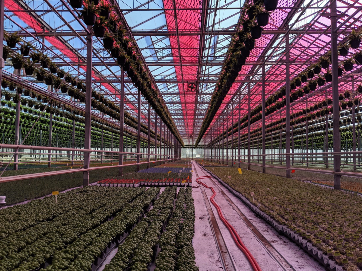 382. Agrivoltaics - Keep the farm in the solar farm and save the family ...